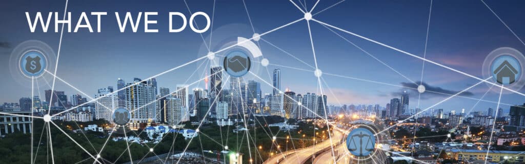 LS Capital | What We Do